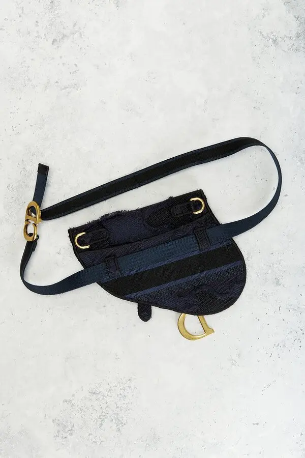 Dior Embroidered Saddle Belt Bag