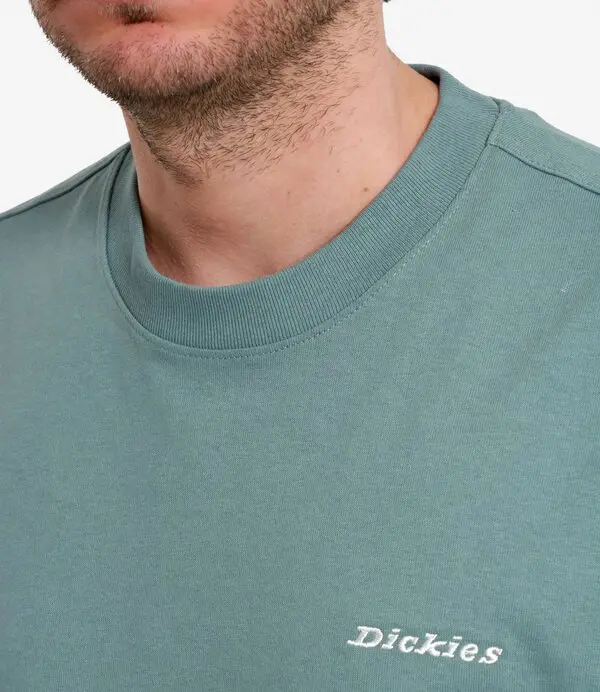 Dickies T Shirts And Polos