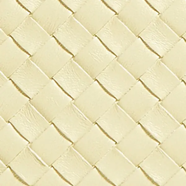 Bottega Veneta Leather Gemellini Pouch