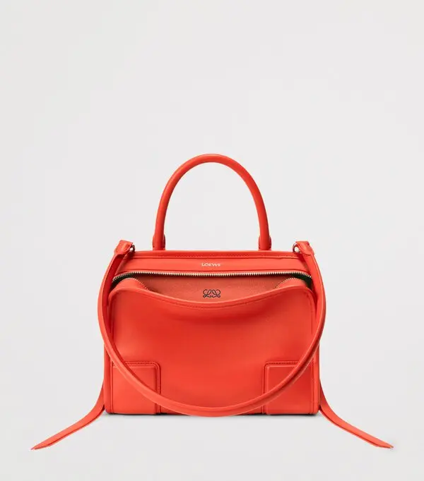 Loewe Small Leather Amazona 180 Top-handle Bag