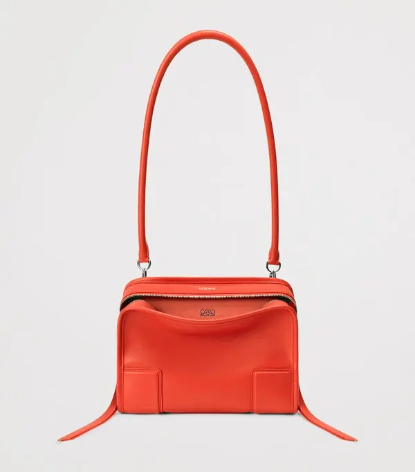 Loewe Small Leather Amazona 180 Top-handle Bag