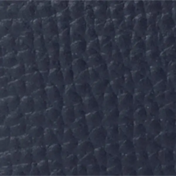 Loewe Leather Anagram Card Holder