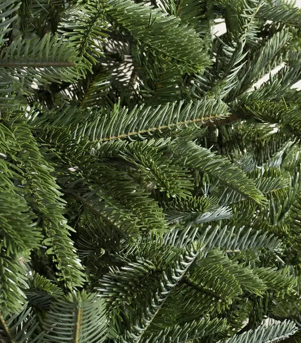 BALSAM HILL Nordmann Fir Unlit Christmas Tree