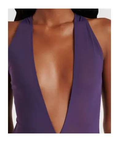 Alex Perry Plunge Neck Sheer Gown