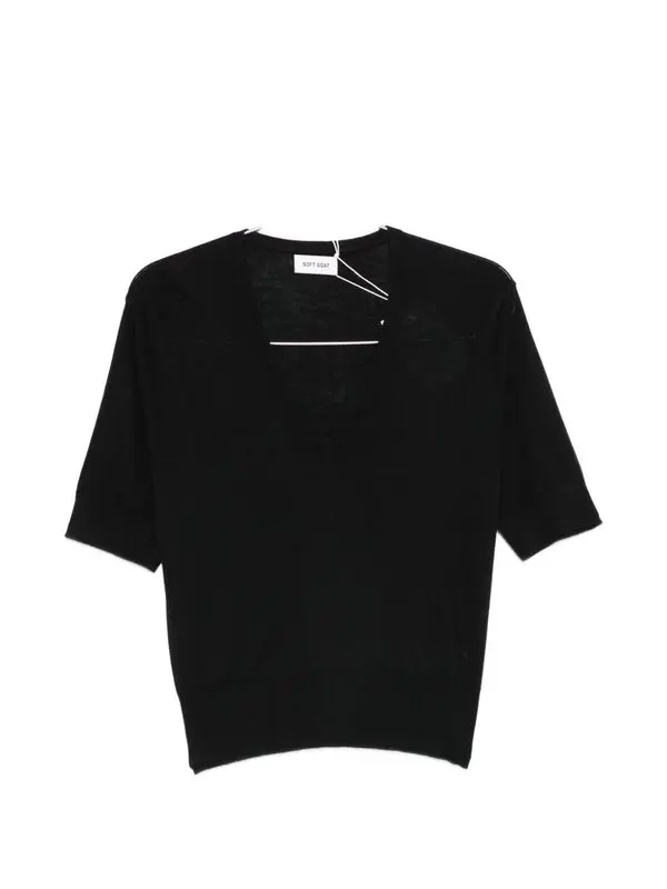 Soft Goat Cashmere V-neck Sweater