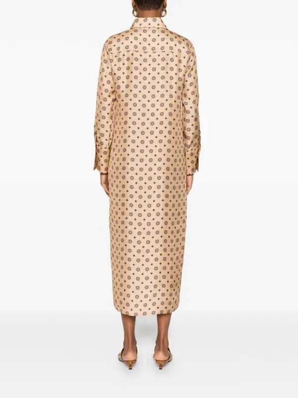 Alberto Biani Printed Silk Maxi Dress