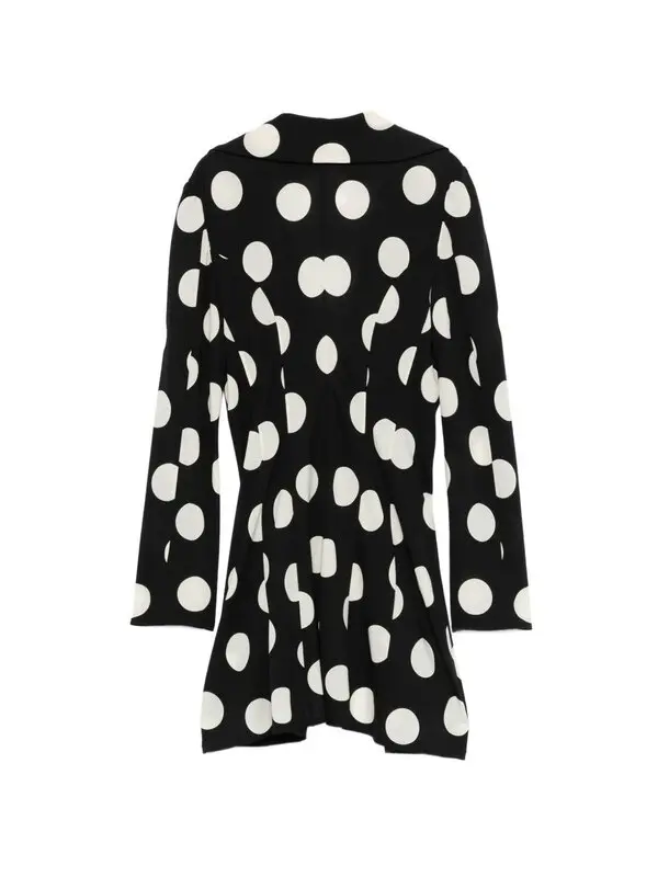 Junya Watanabe Polka Dot Single-breasted Jacket