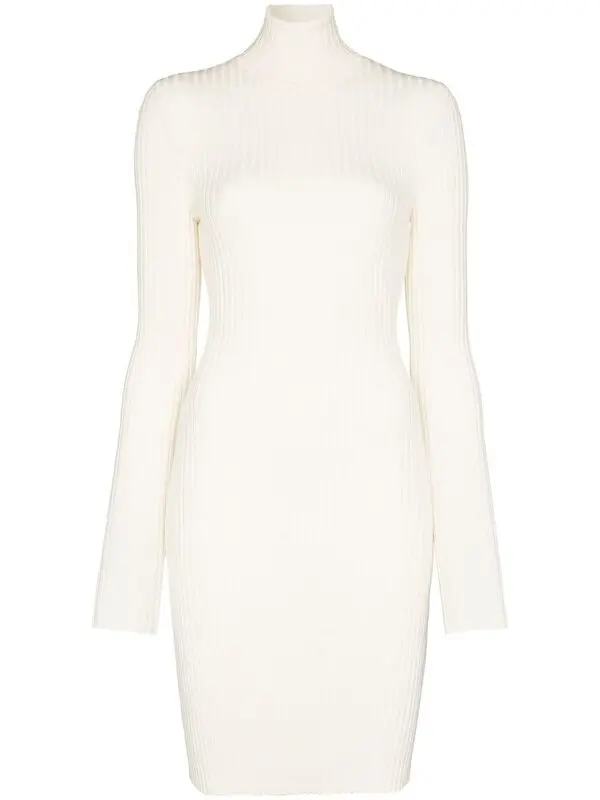 Wolford Ribbed Knit High Neck Mini Dress