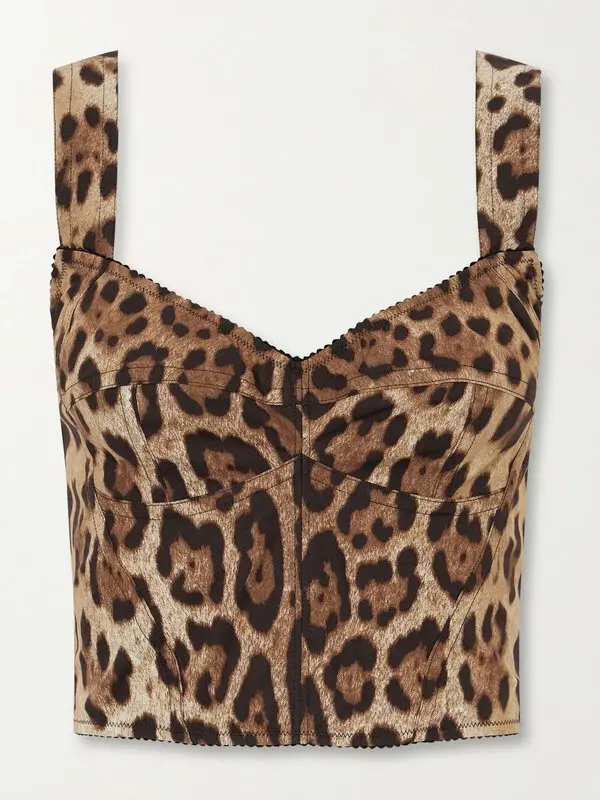Dolce & Gabbana Cropped Leopard-print Stretch-canvas Bustier Top - Leopard Print