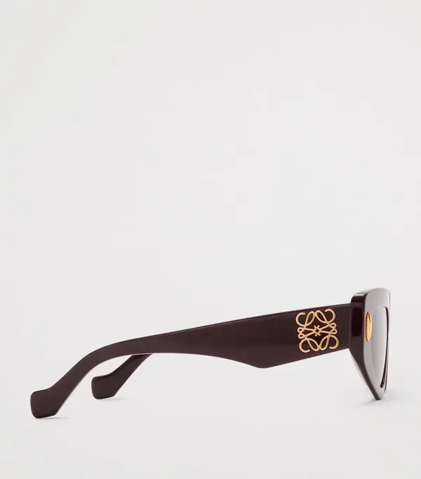 Loewe Small Butterfly Screen Sunglasses - Brown