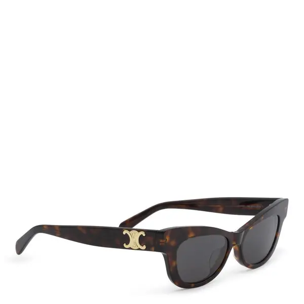 Celine Triomphe Sunglasses In Acetate