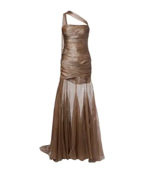 MARIA LUCIA HOHAN Marimar One-shoulder Silk Bustier Gown - Brown