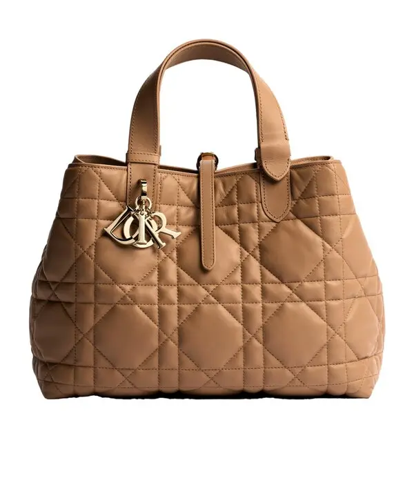Dior Medium Toujours Bag