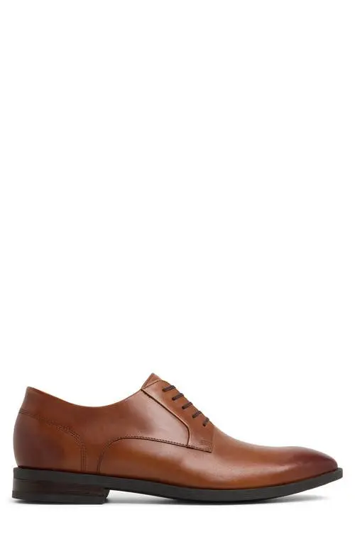 Aldo Teodoro Plain Toe Derby - Cognac