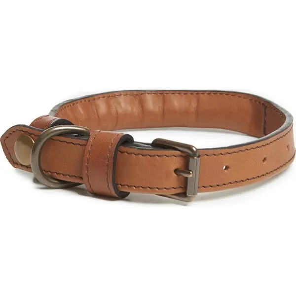 KORCHMAR Gordon Leather Dog Collarsm