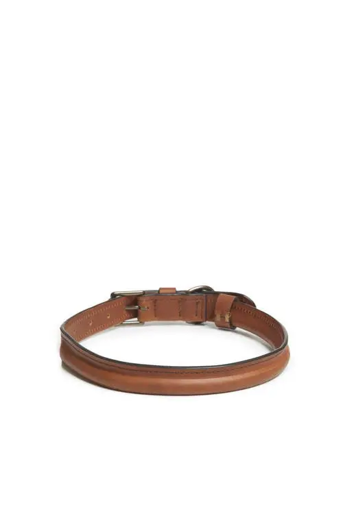 KORCHMAR Gordon Leather Dog Collarsm