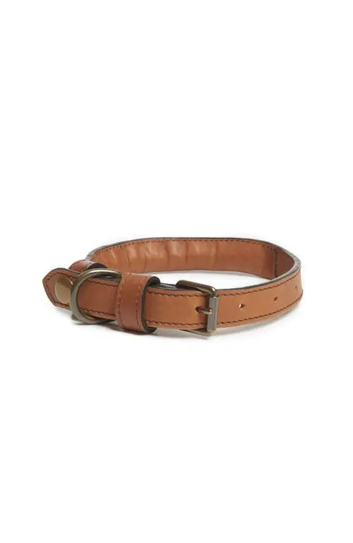 KORCHMAR Gordon Leather Dog Collar - Espresso