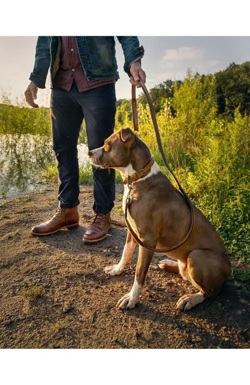 KORCHMAR Hadley Leather Dog Leash