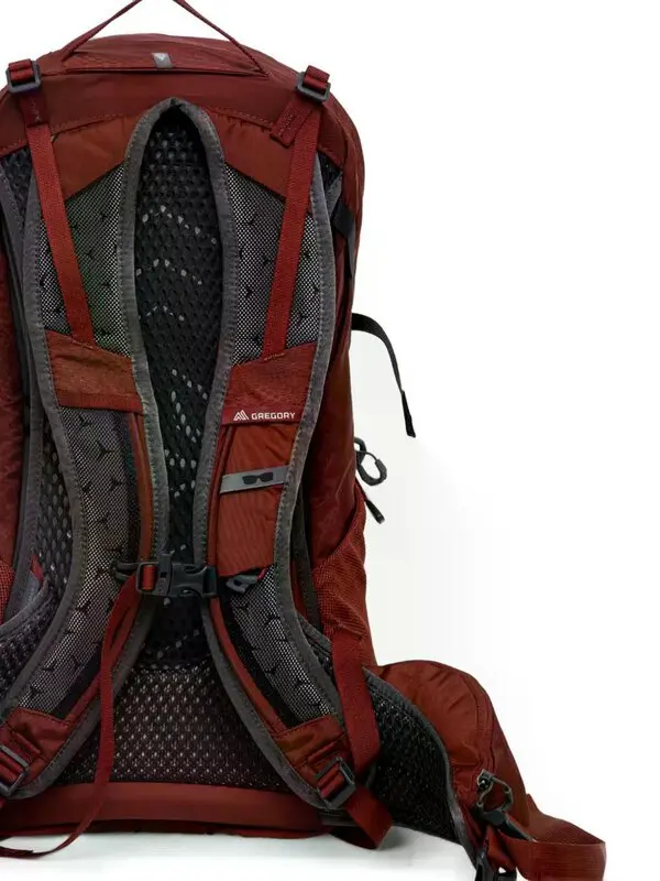 GREGORY Citro 24 Logo-print Backpack - Red