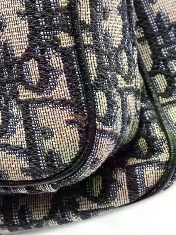 Dior 2010s Oblique Rider Backpack