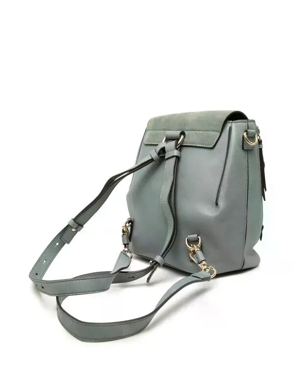 Chloé 2018 Medium Calfskin And Suede Faye Backpack