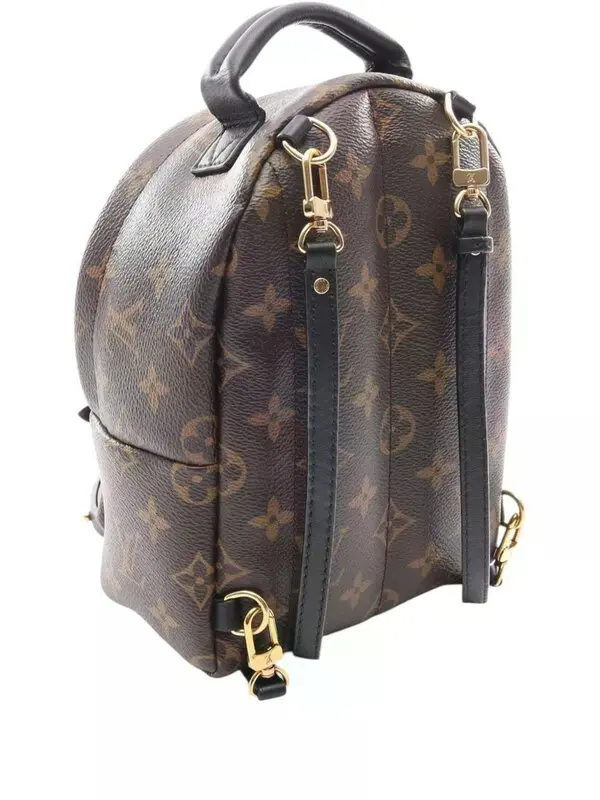LOUIS VUITTON 2017 Monogram Mini Palm Springs Backpack