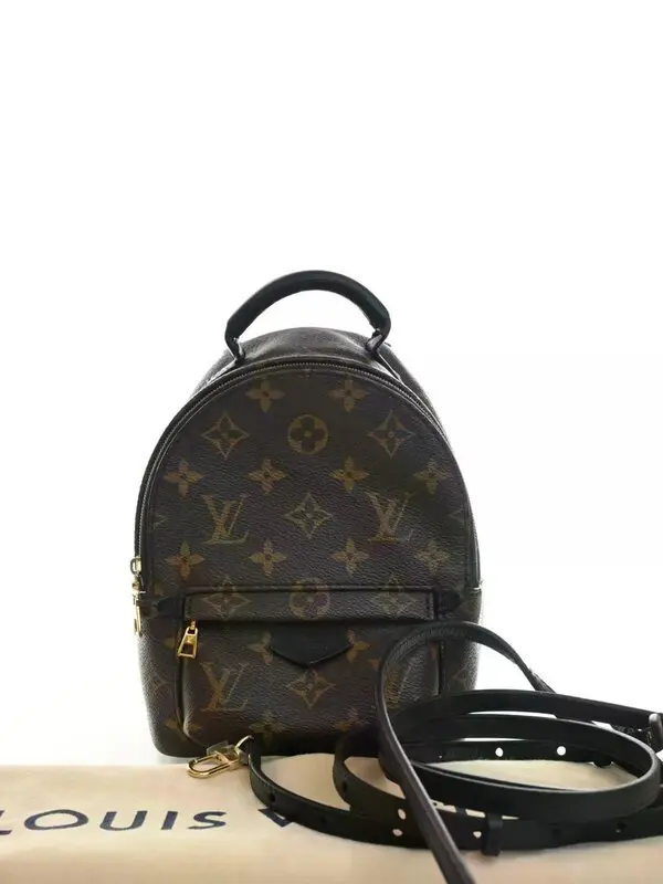 LOUIS VUITTON 2021-2026 Monogram Mini Palm Springs Backpack