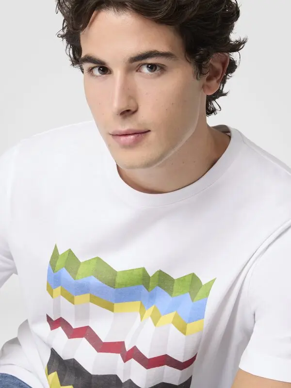 Missoni Crew-neck Cotton T-shirt With Macro Zigzag Print