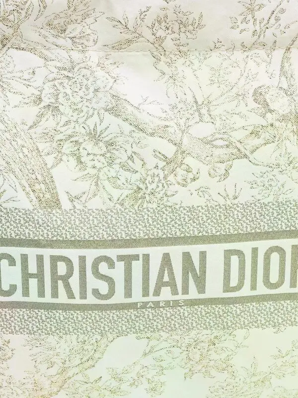 Dior 2022 Toile De Jouy Clutch Bag