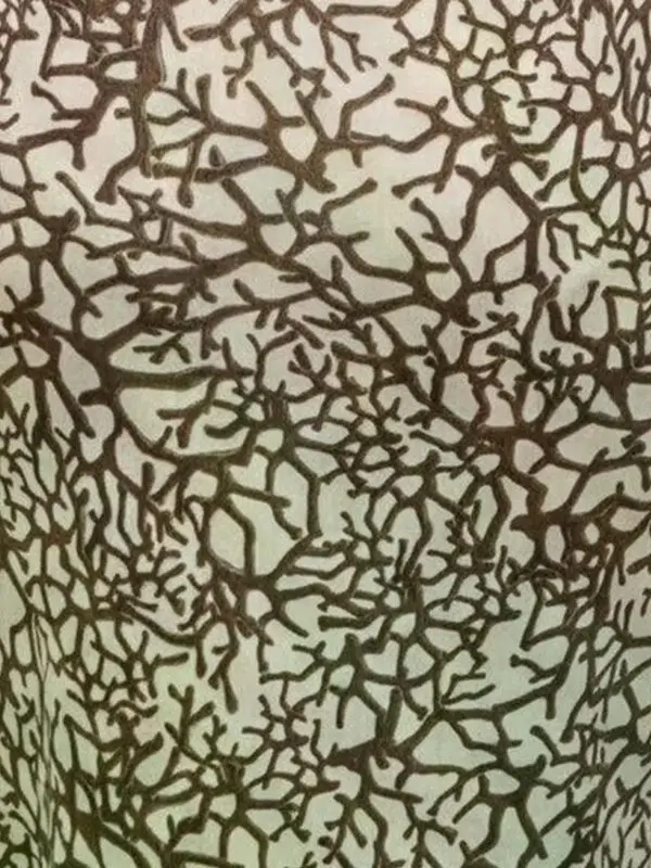 Diane Von Furstenberg Printed Midi Dress