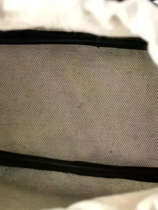 Goyard Beluga Mini Tote Bag In Coated Canvas