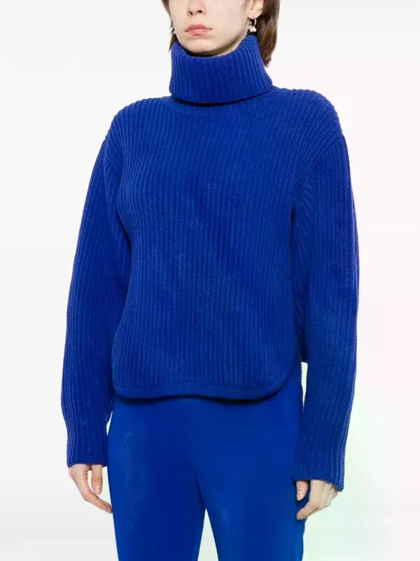 Antonio Berardi Ribbed Roll-neck Sweater