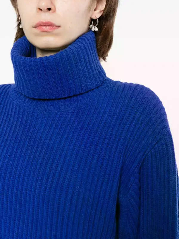 Antonio Berardi Ribbed Roll-neck Sweater