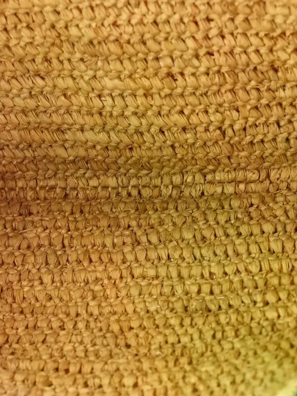 Celine Raffia Sequined Logo Pouch
