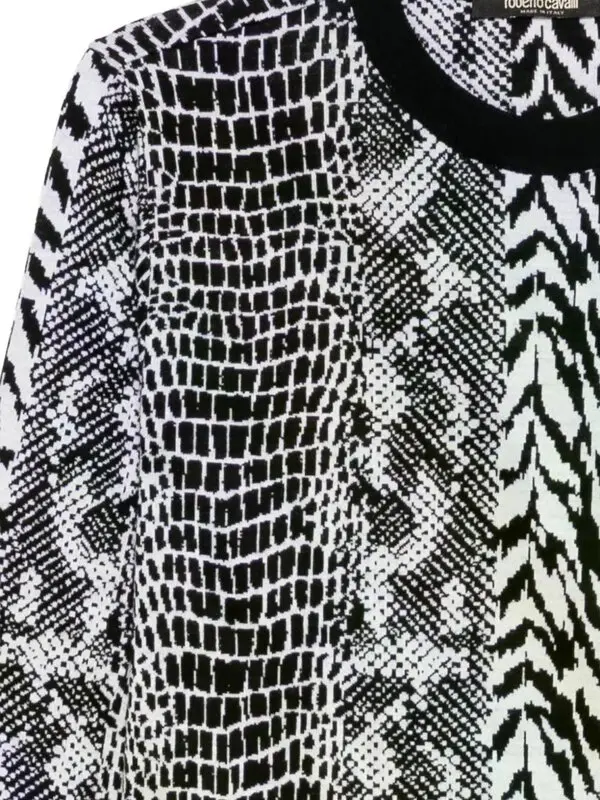 Roberto Cavalli Animal Print Crew Neck Sweater