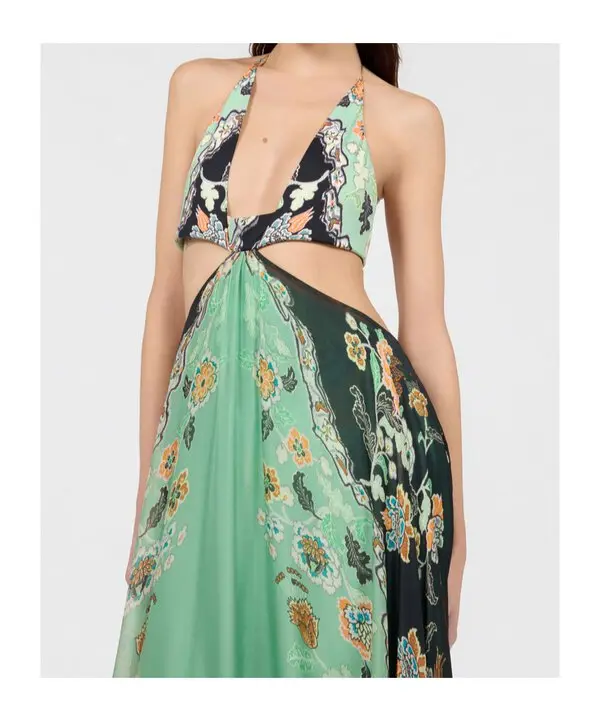 Roberto Cavalli Printed Halter-neck Maxi Dress With Cut-out Detailing