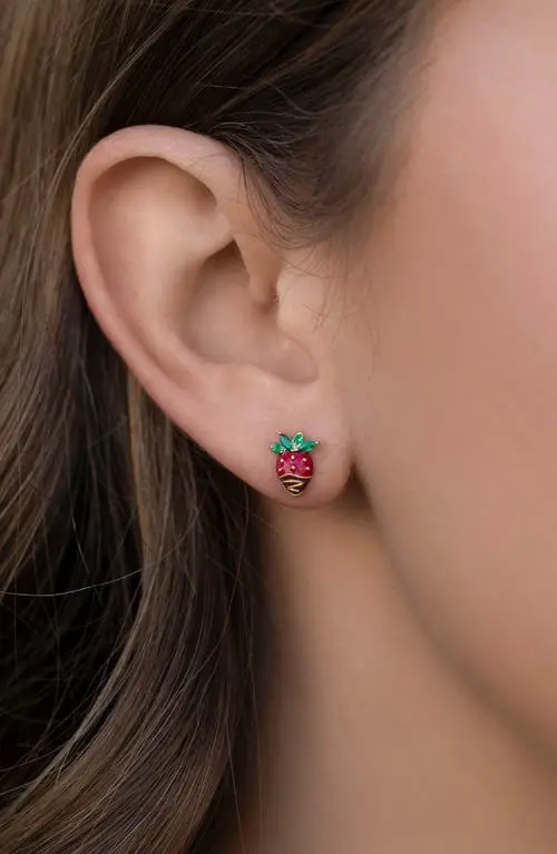 GIRLS CREW Chocolate Strawberry Stud Earrings