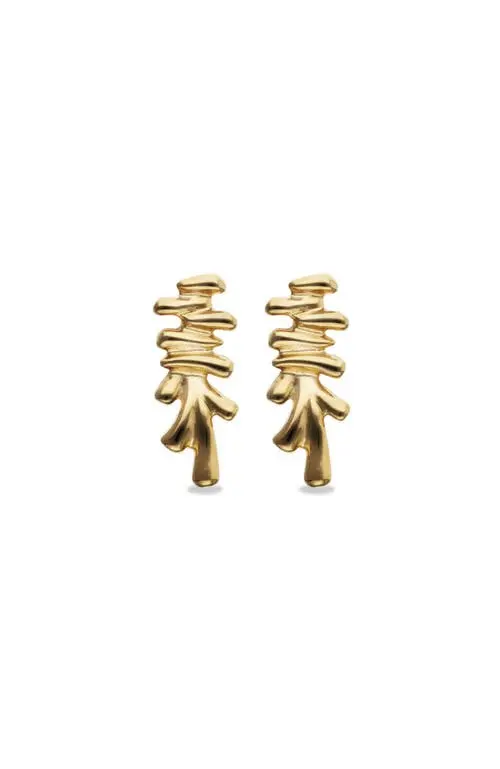 UNODE50 18k -plated Earrings With Various Tubes