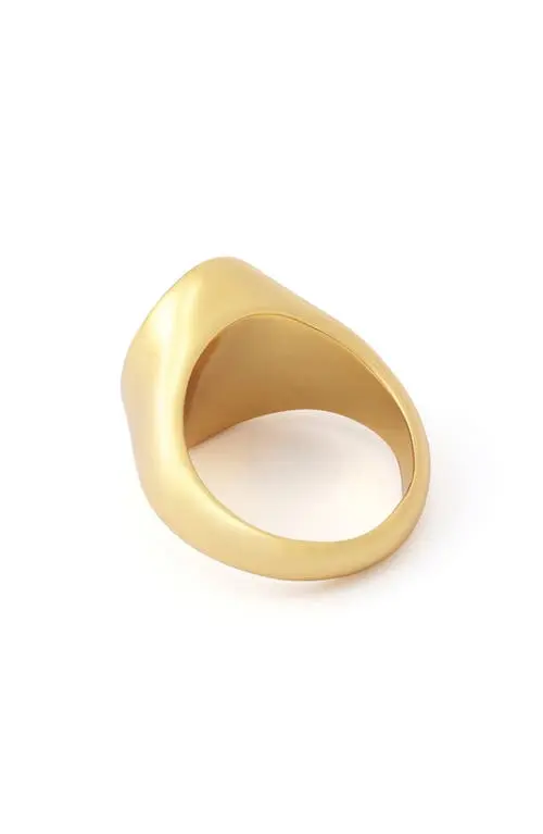 Kurt Geiger Eagle Enamel Signet Ring
