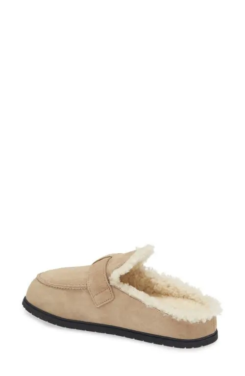 Prada Genuine Shearling Buckle Mule - Deserto