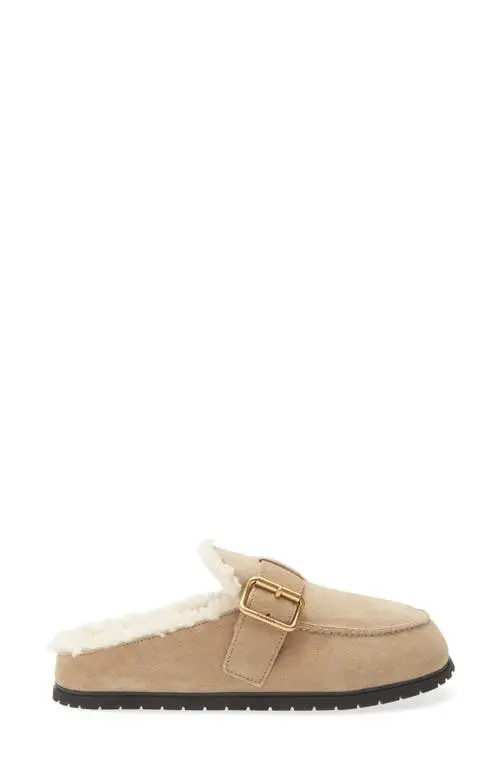 Prada Genuine Shearling Buckle Mule - Deserto