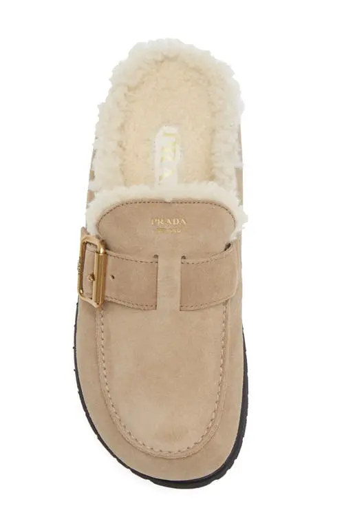 Prada Genuine Shearling Buckle Mule - Deserto