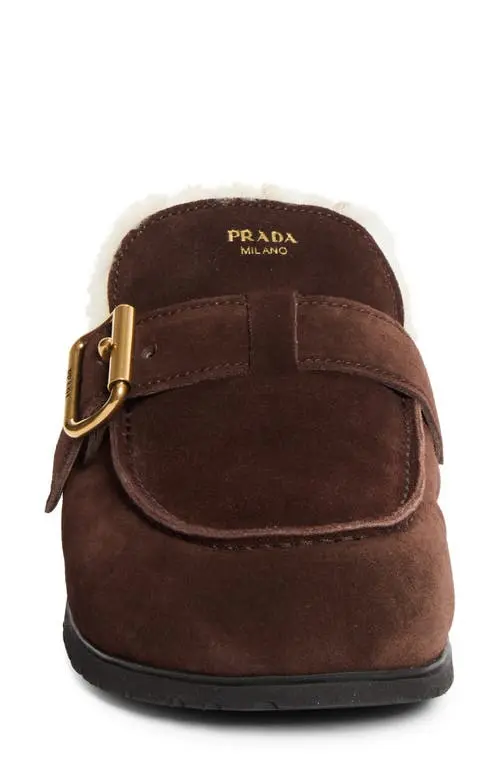 Prada Genuine Shearling Buckle Mule