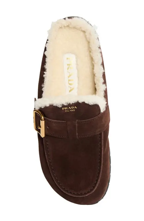 Prada Genuine Shearling Buckle Mule