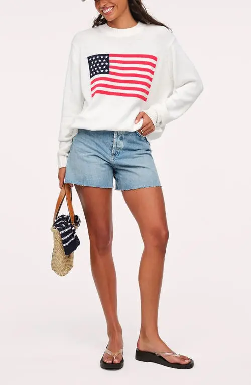 NUUDS Americana Graphic Knit Sweater