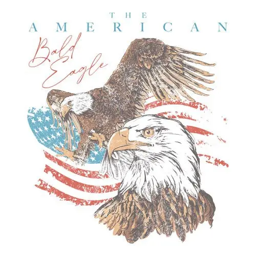 LOST GODS The American Bald Eagle Graphic T-shirt