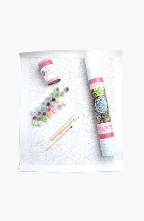 PINK PICASSO KITS Sensitive Succulents Paint Numbers Kit