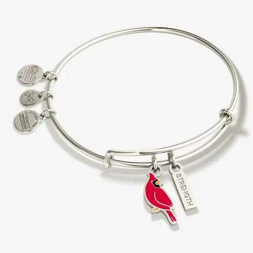 ALEX AND ANI Cardinal Duo "strength" Charm Bangle Bracelet - Silver