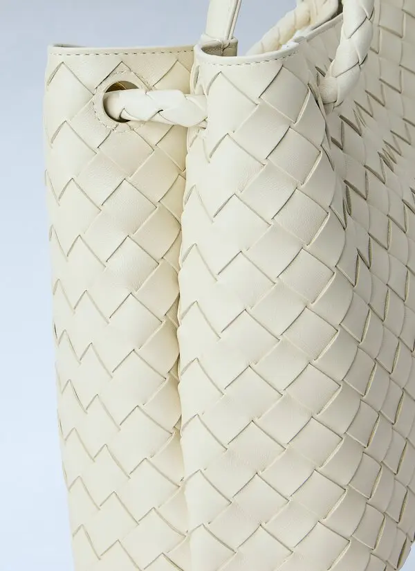 Bottega Veneta Medium Andiamo Handbag