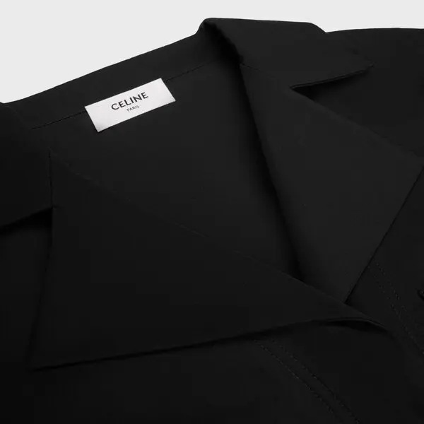 Celine Dress In Cotton And Silk Twill